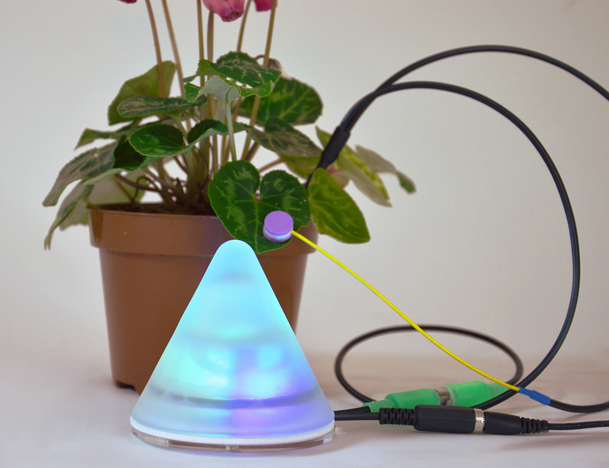 Interacting with green plants – The Floranium Project