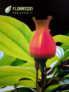 The Floranium Project – Discover the secret life of plants!